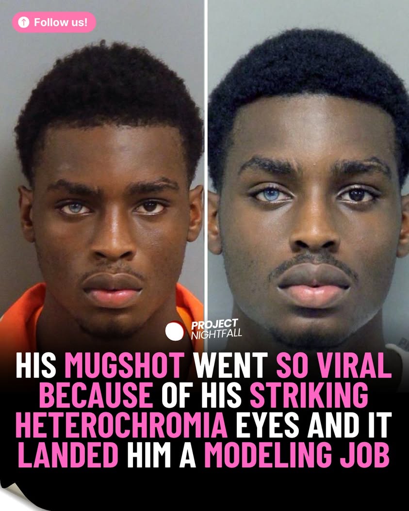 Mugshot to runway: One viral photo catapults man from jail to high ...
