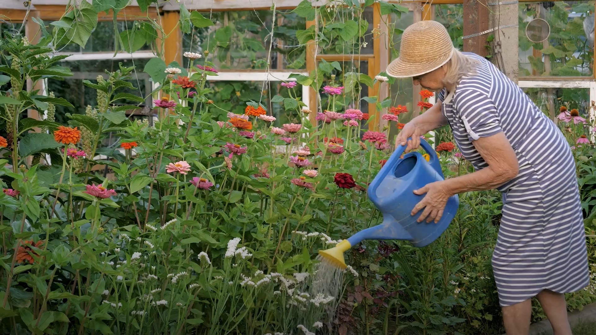 Spring gardening hacks for a healthy garden