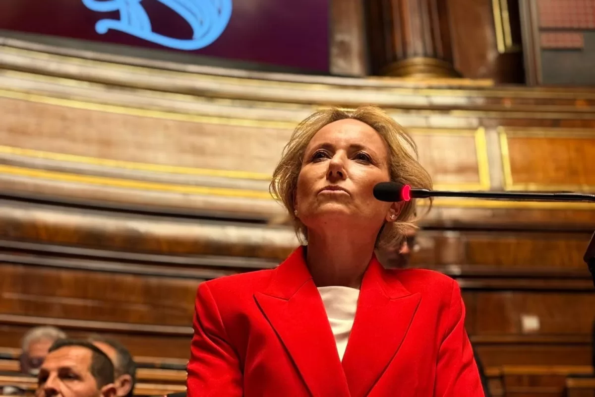 Mieli: "Pd e 5S erano d’accordo sull’IHRA, ora seguono la spin doctor ...