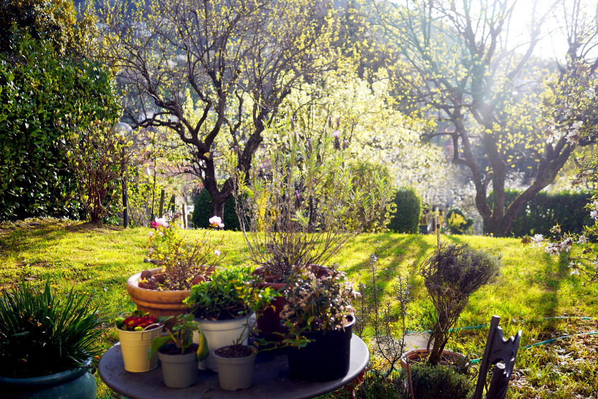 3 essential early spring gardening tasks (and 3 you can skip)