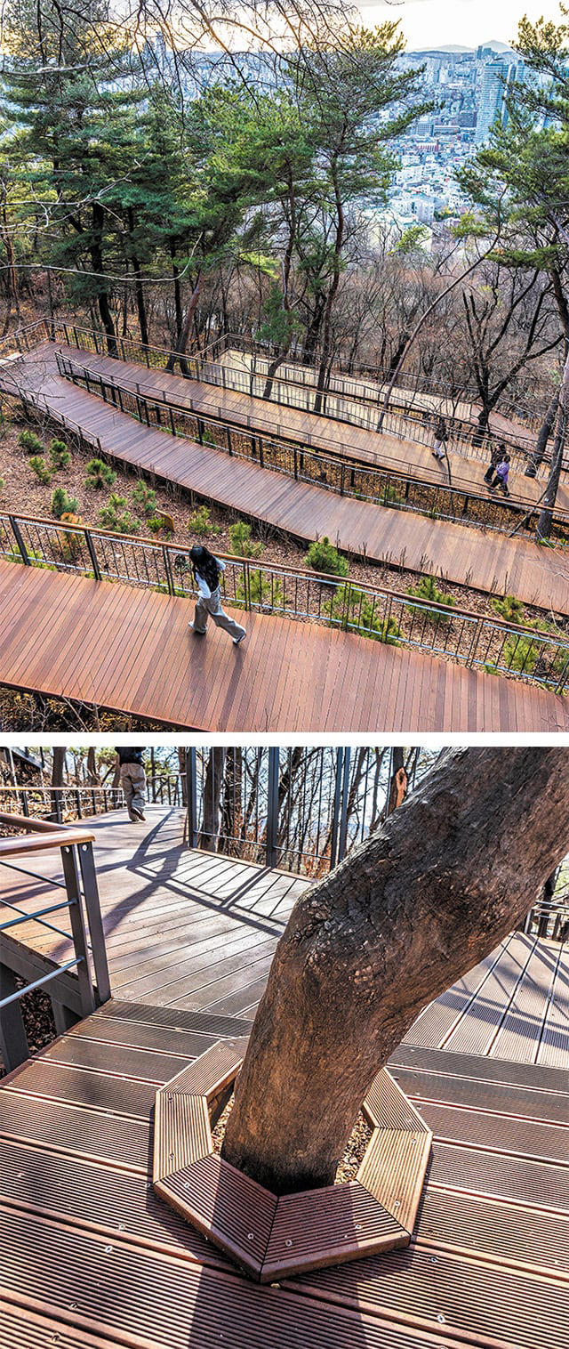 Namsan Sky Forest Trail embraces slow, nature-friendly design