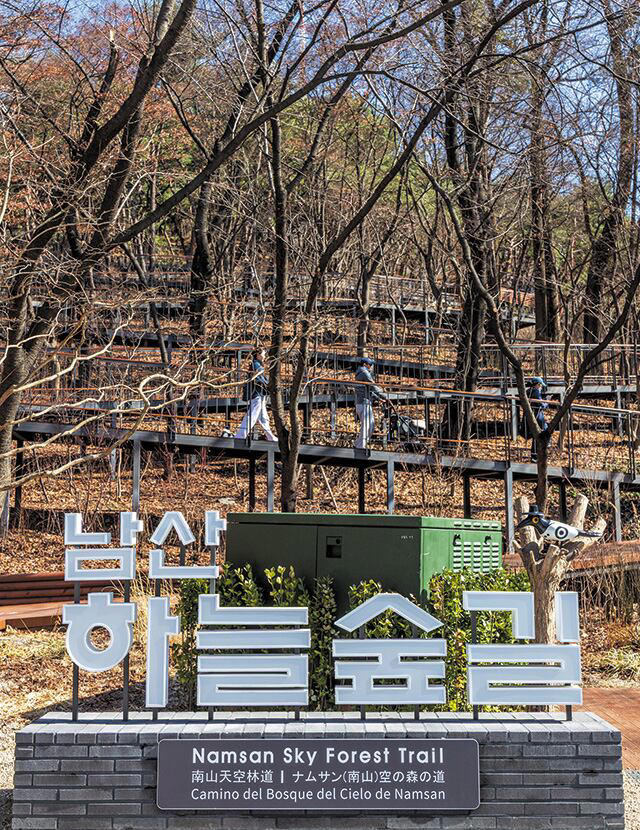 Namsan Sky Forest Path: Accessible hike harmonizing nature
