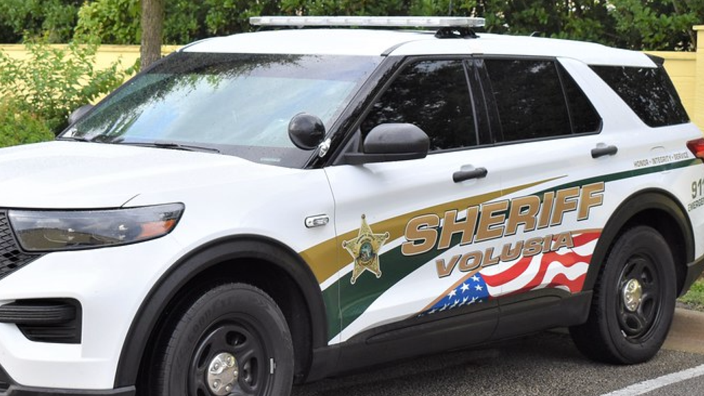 Another Atlanta woman arrested in Florida in Bitcoin scam linked to ...