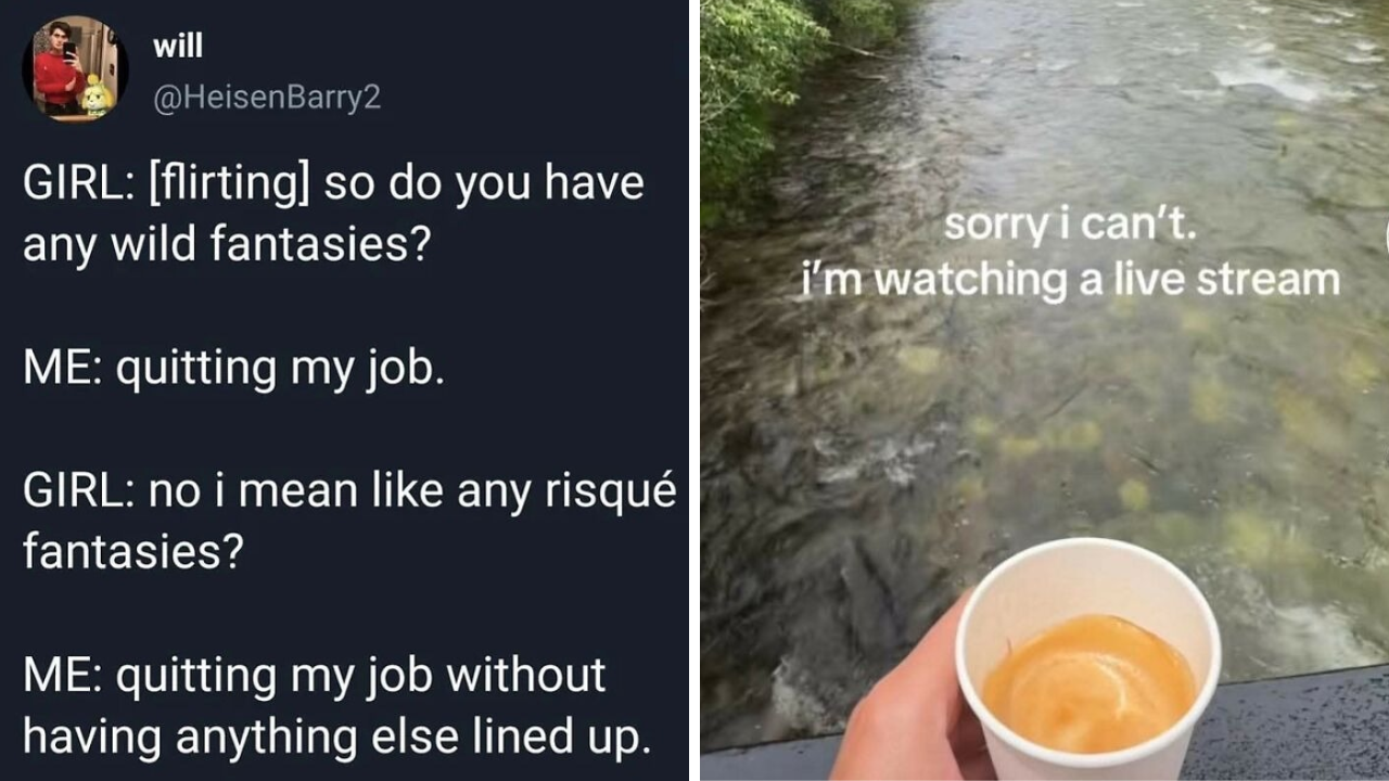 28 memes so weird and pointless they’ll distract you for exactly 5 minutes