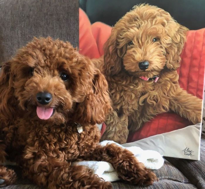 11 pets posing next to their hand-painted portraits