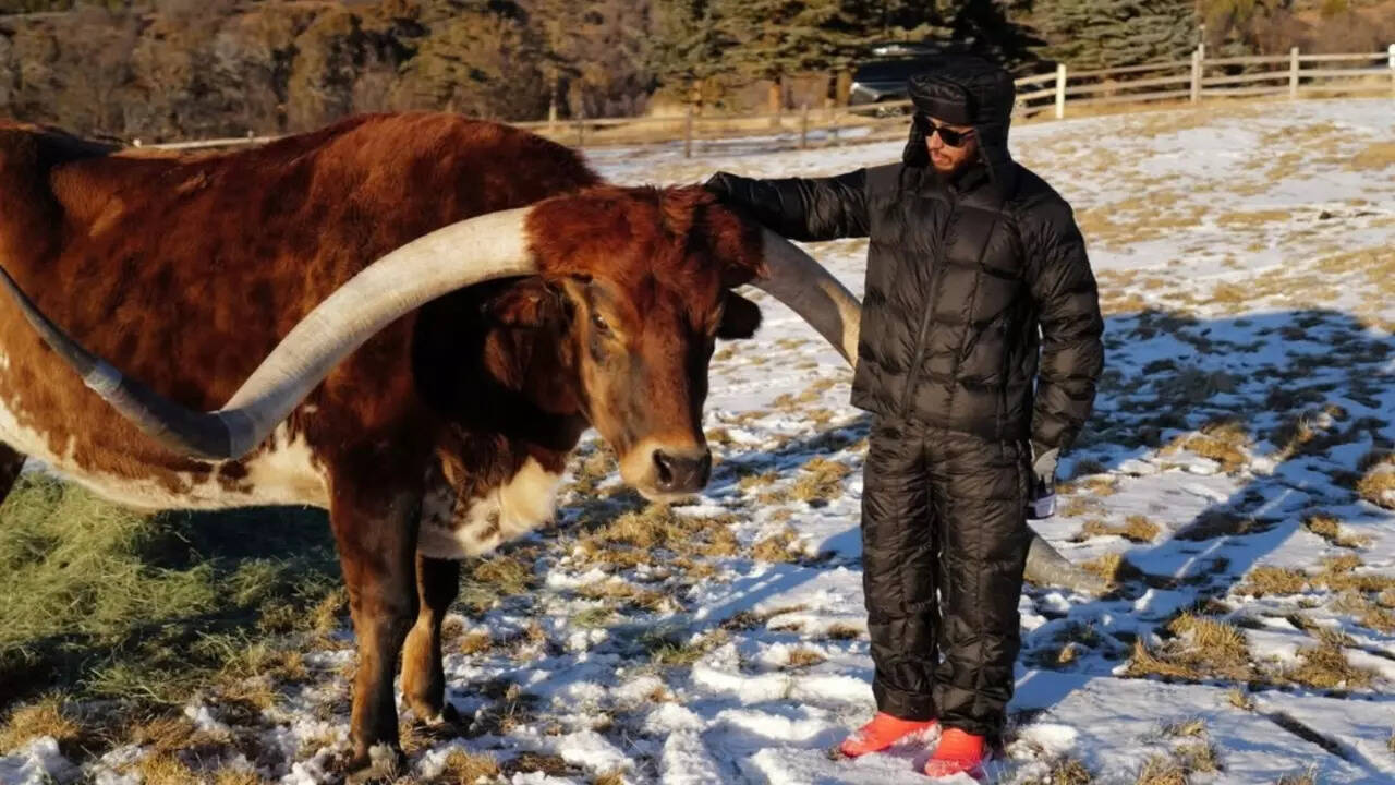 F1 fans react as Lewis Hamilton reveals he has a cow named Max: "I didn ...