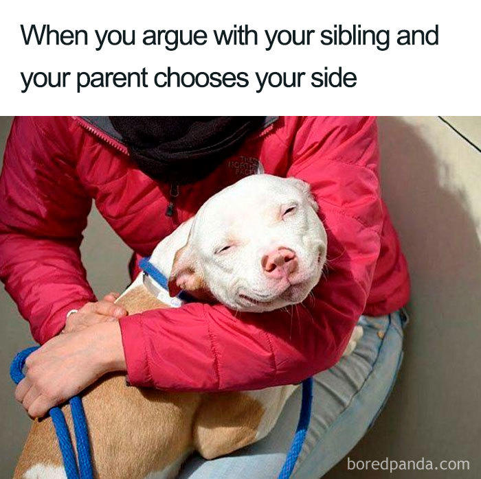 28 of the best sibling memes ever