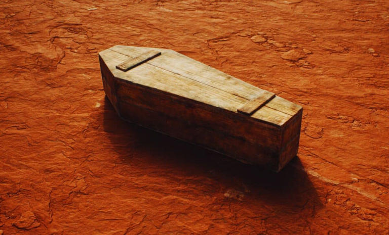 Scientists studied a coffin that fell from the sky, what they ...