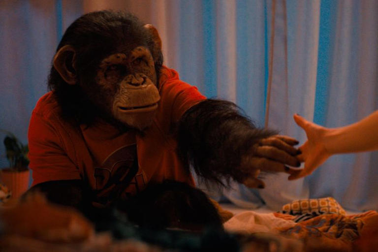 Movie review: We try to survive animal attack horror 'Primate'
