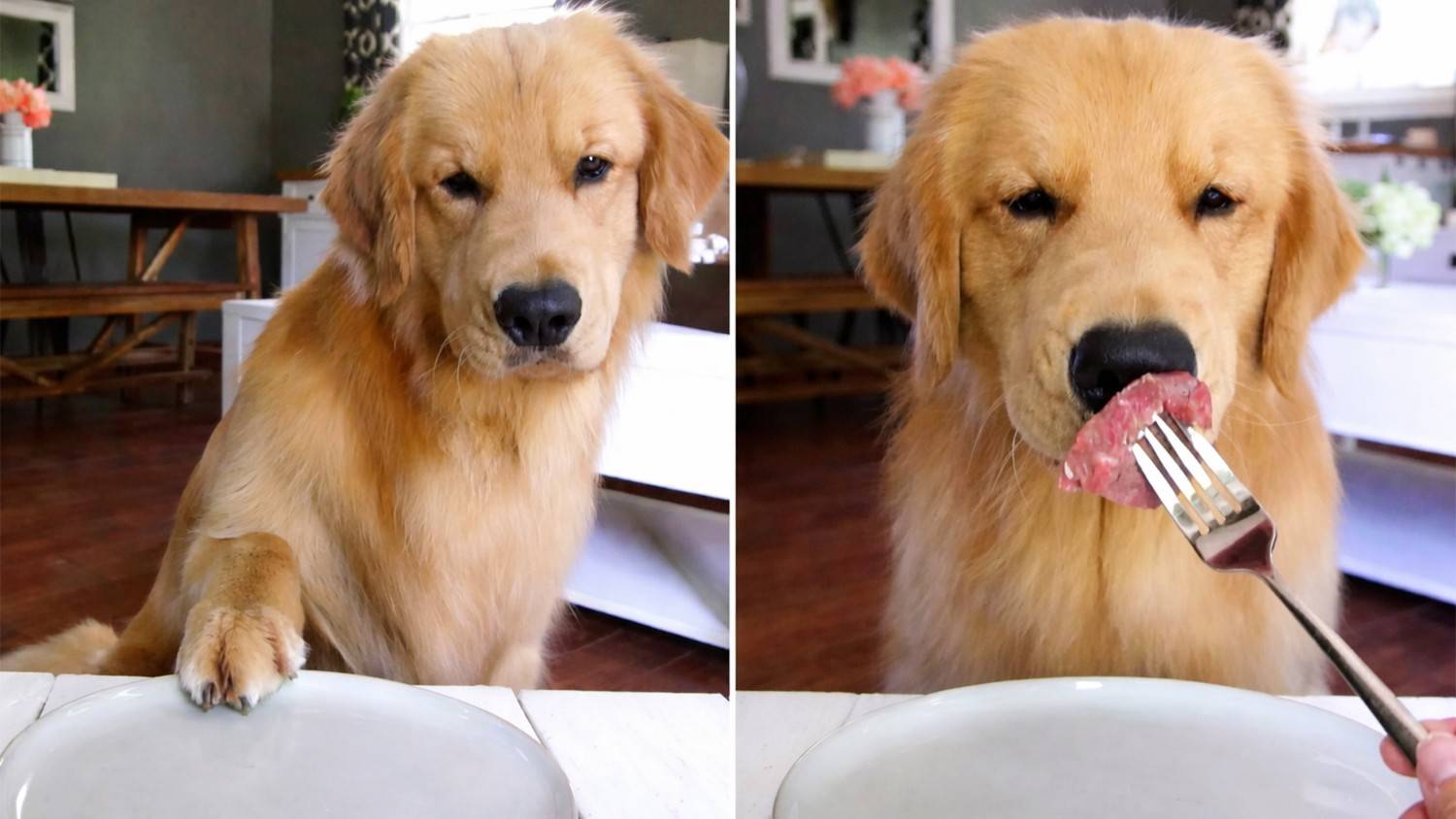 Tucker reviews food like a professional