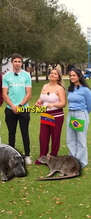 Guess the animal - boys vs girls edition