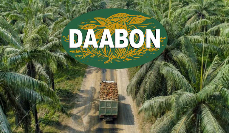 Grupo Daabon se queda con el 100 % de las operaciones de Agropalma en ...