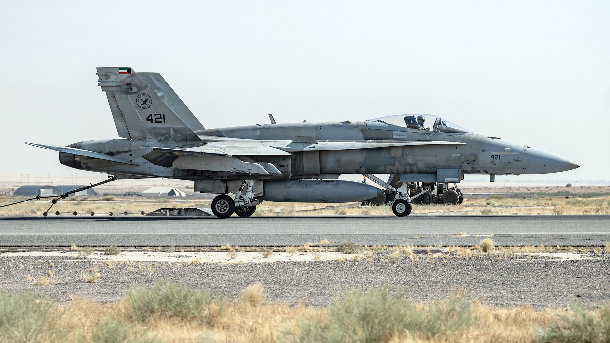 Unverified video showing Kuwaiti F/A-18 engaging US F-15E raises new ...