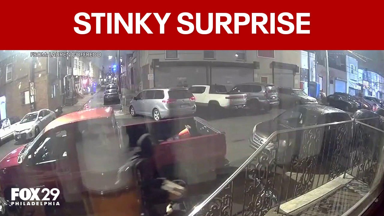 South Philly couple uses 'poop machine French bulldog' to prank package ...