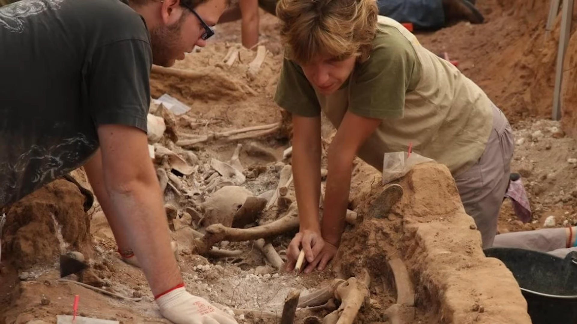 They found some strange bones - it turned out to be an ancient predator