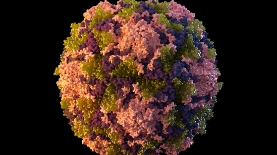 Polio risk rising globally: CDC issues travel advisory for 32 countries ...