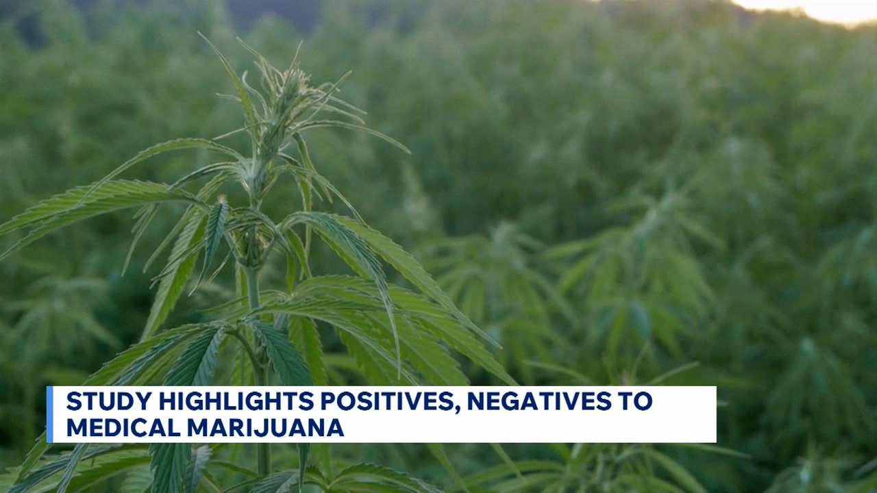 Study highlights positive, negatives of medical marijuana