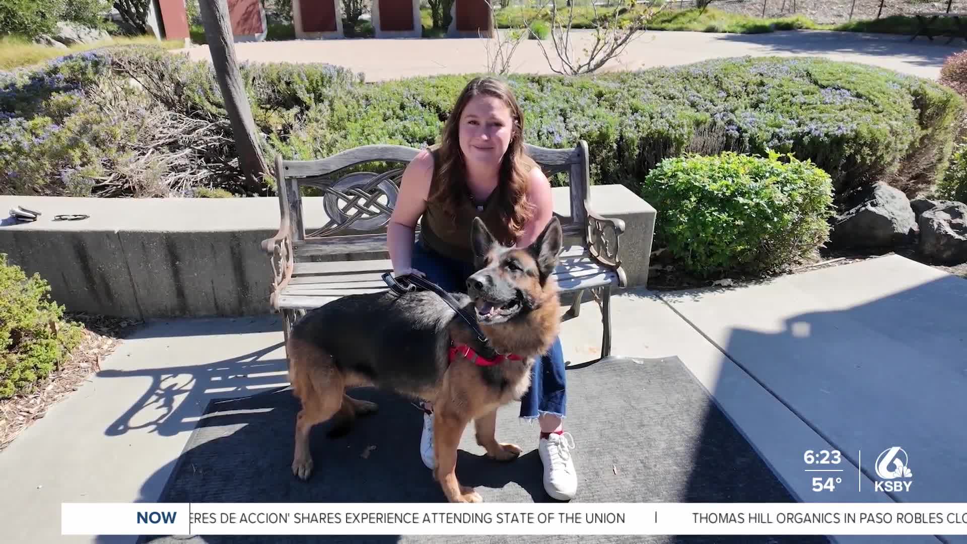 Cali, our pet of the week, is searching for her forever home