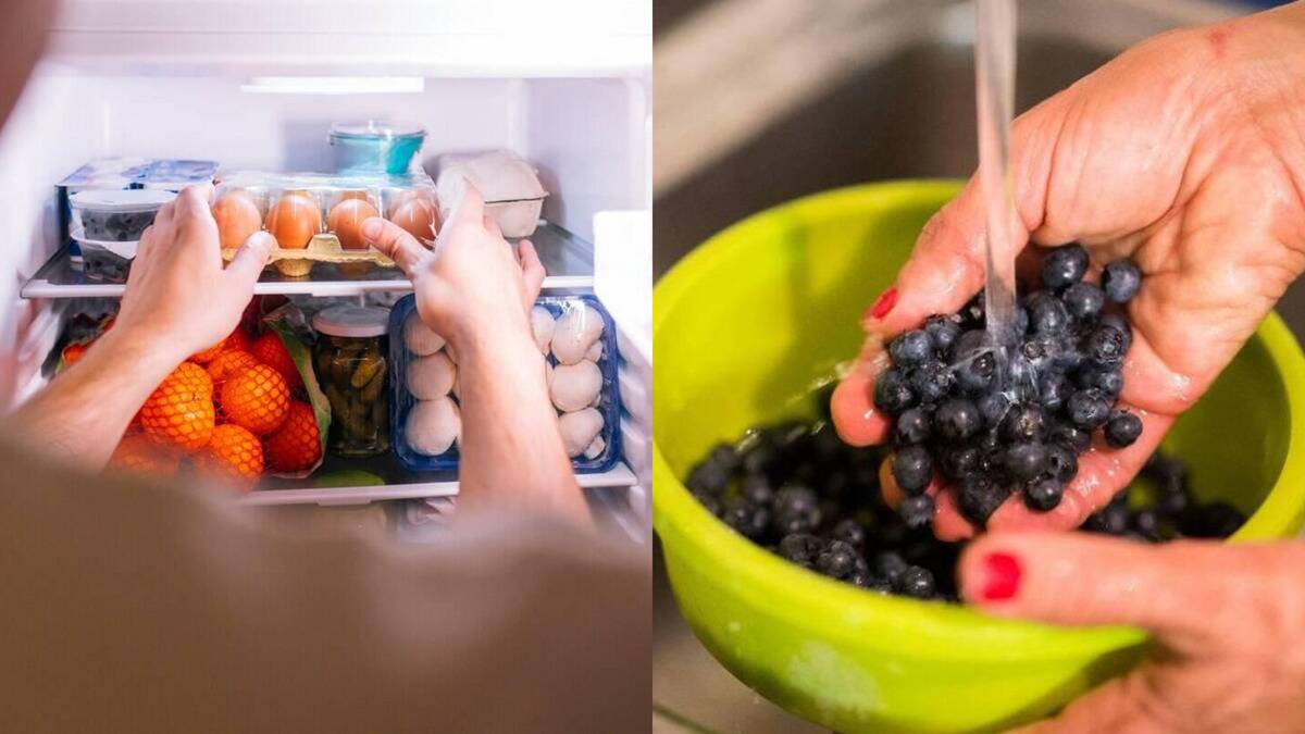 Save some money with clever fridge and freezer tips