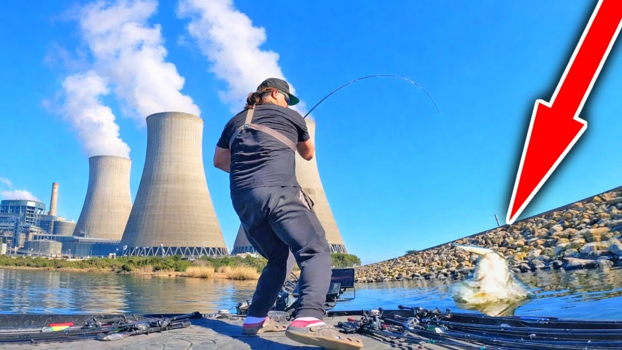 Professional angler catches large Texas bass in warm power plant lake