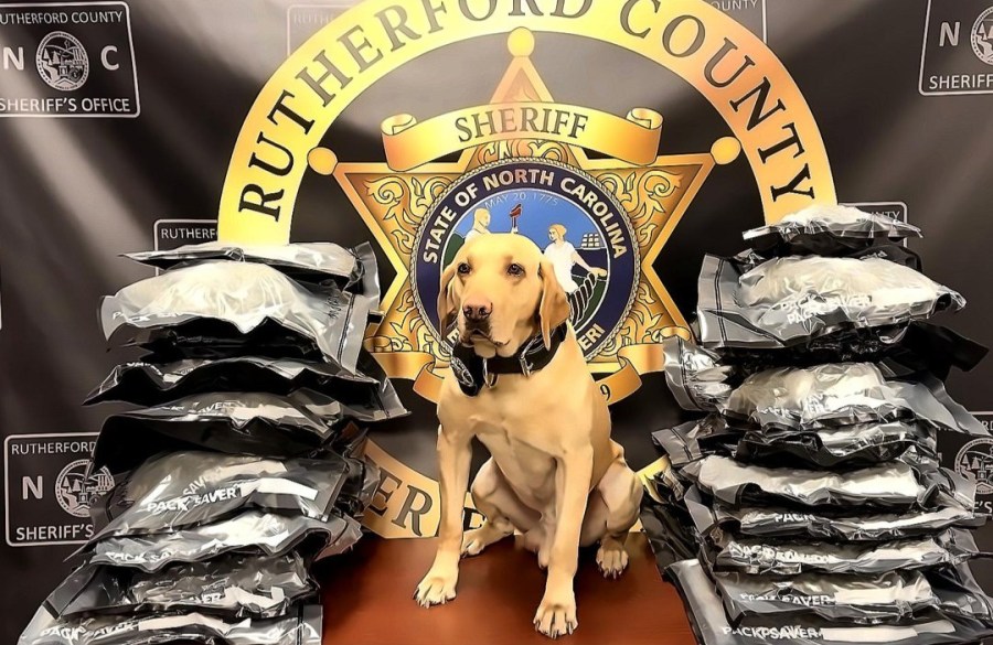 40lbs of marijuana seized in Rutherford Co. traffic stop