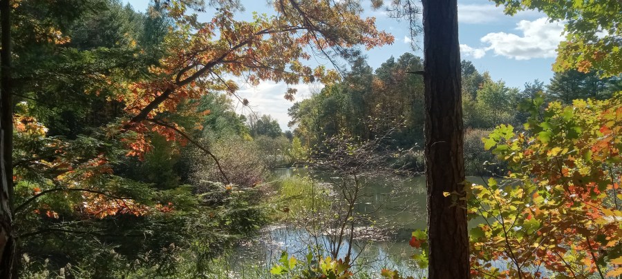 Wetland map updates now available for Lake Champlain, Connecticut River ...