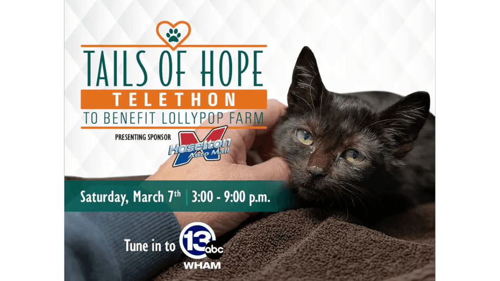 Programming alert: Telethon brings Saturday lineup changes to 13WHAM ...