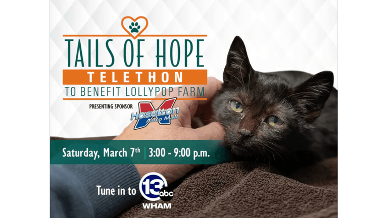Programming alert: Telethon brings Saturday lineup changes to 13WHAM ...