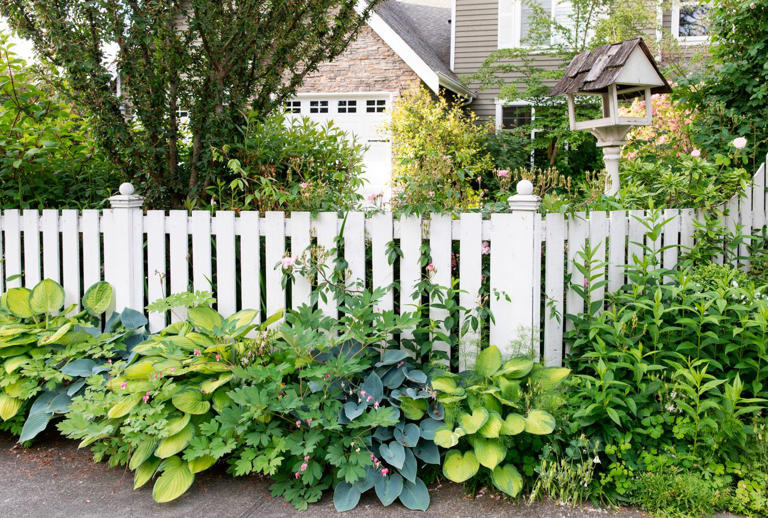 The smart way to handle a property line dispute before it gets ugly