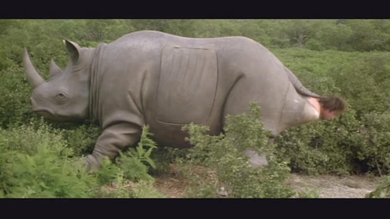 'Butt birth' rhino from 'Ace Ventura: When Nature Calls' is up for ...