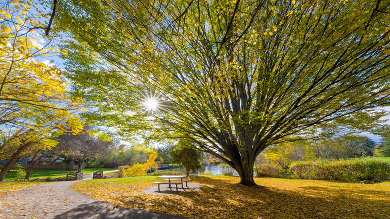Oregon's 5 best suburbs to visit outside Portland, according to Reddit