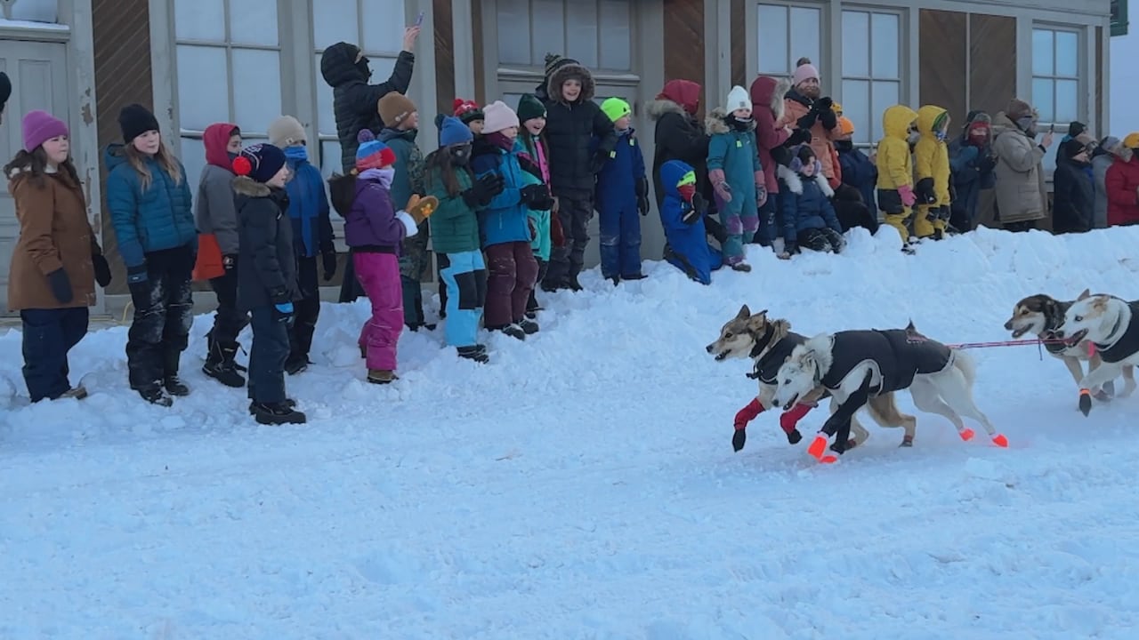 50th annual Percy DeWolfe Memorial Mail Race kicks off in Dawson City