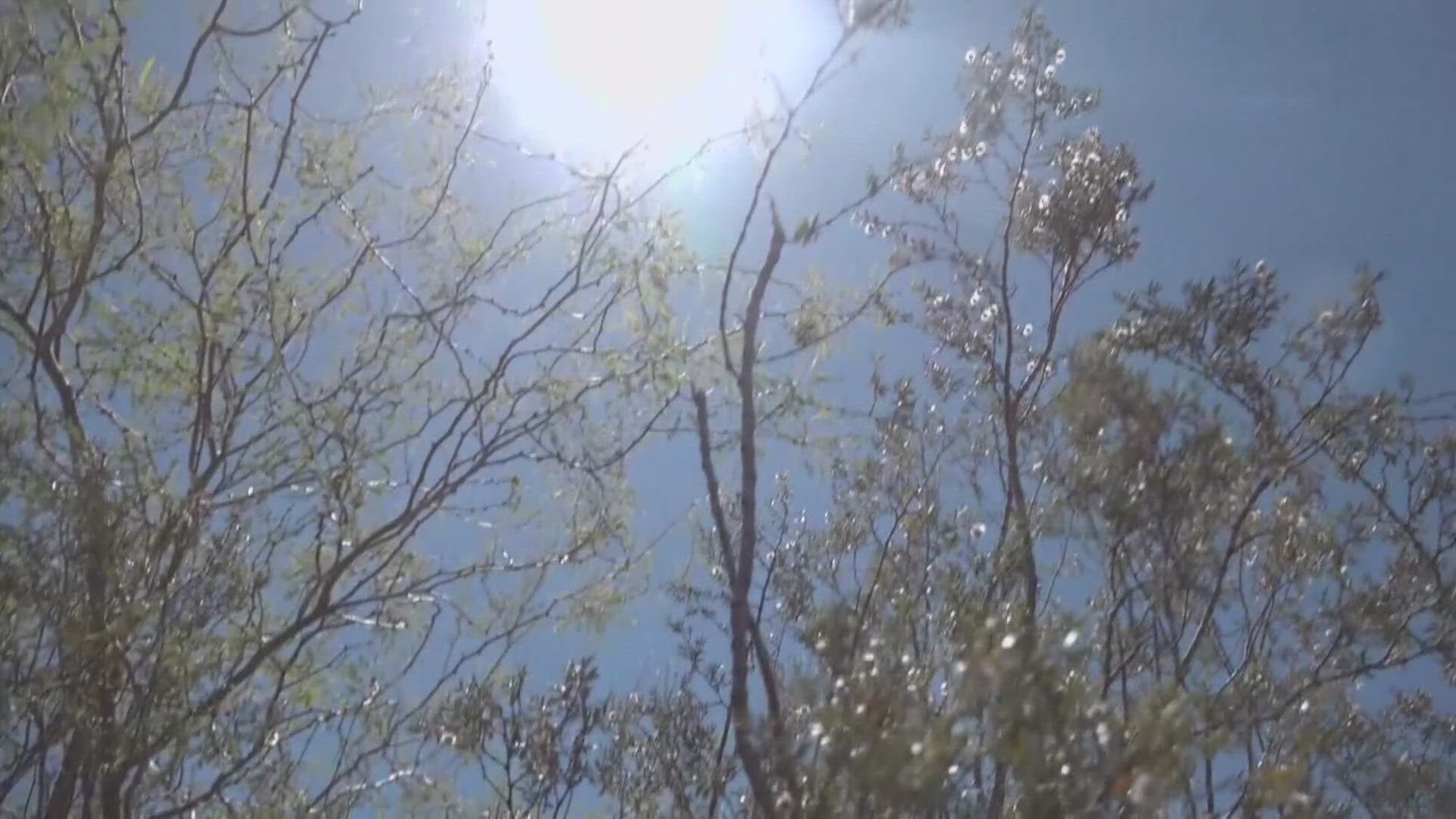 Why doesn't Arizona observe Daylight Saving Time?
