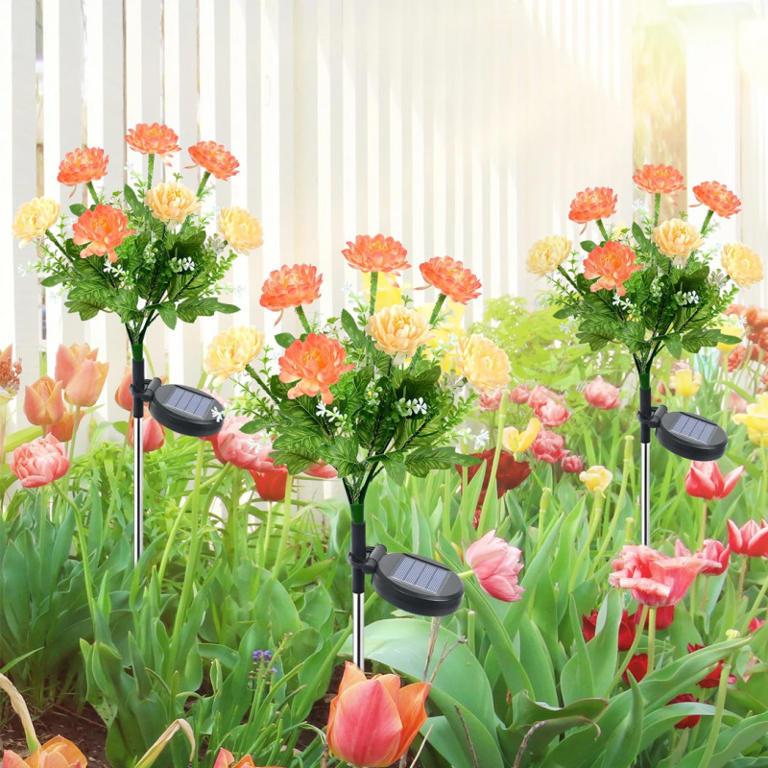 Walmart's $16 Qoosea solar lights will brighten your yard with floral ...