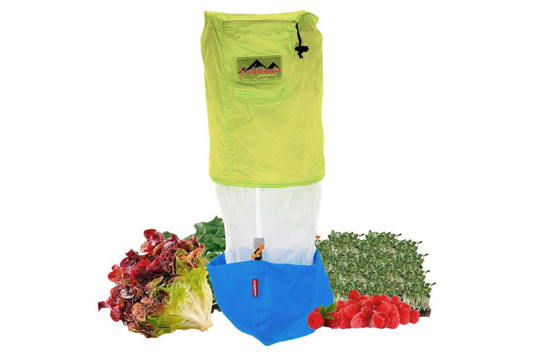 Every expert we spoke to says you’re storing lettuce wrong — keep it ...