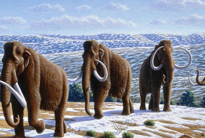 10 extinct creatures that once roamed America