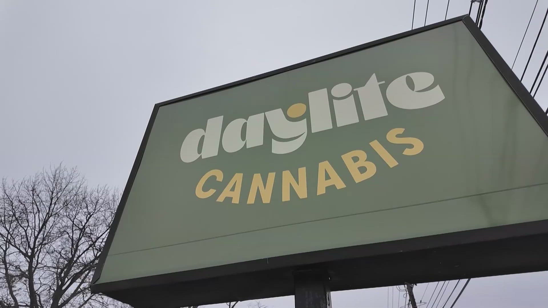 Girl Scout troop's cookie sales shut down after partnering with ...