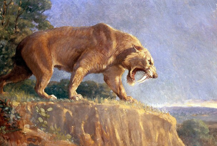 10 extinct creatures that once roamed America