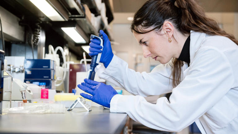 HIV-seq tool finds active reservoir cells during therapy