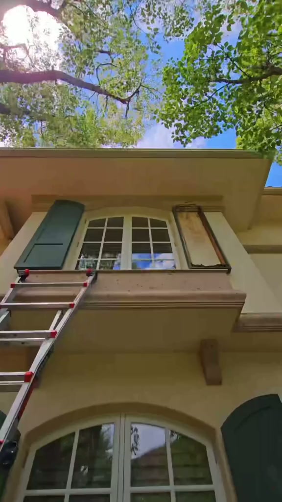Massive bee hive in mansion shutter nearly sends me off ladder
