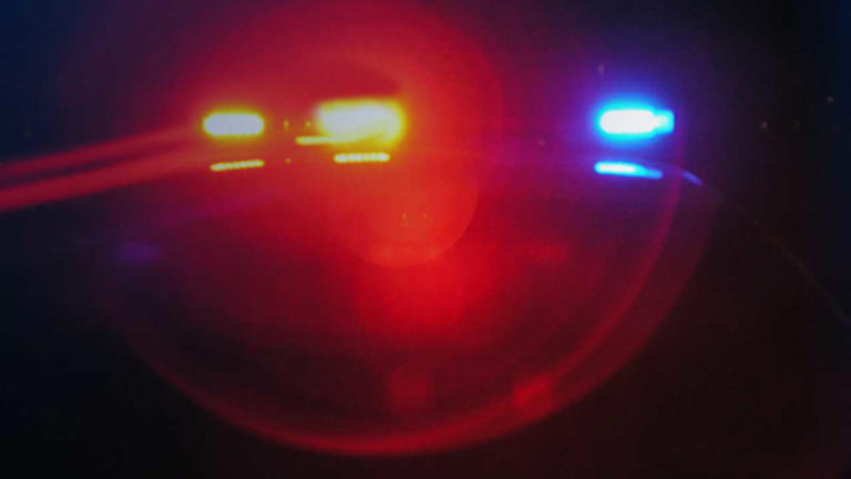 Rare firearms and heirlooms stolen in Talladega County home burglary