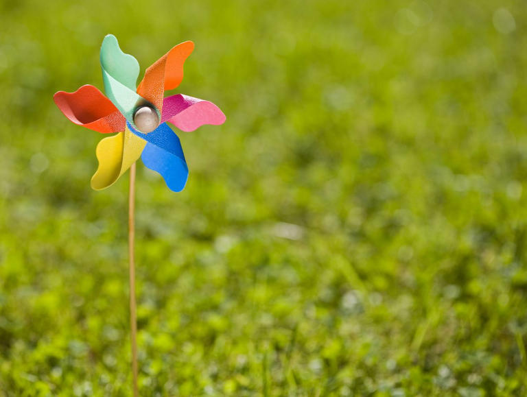 7 natural solutions to keep moles away from your yard for good