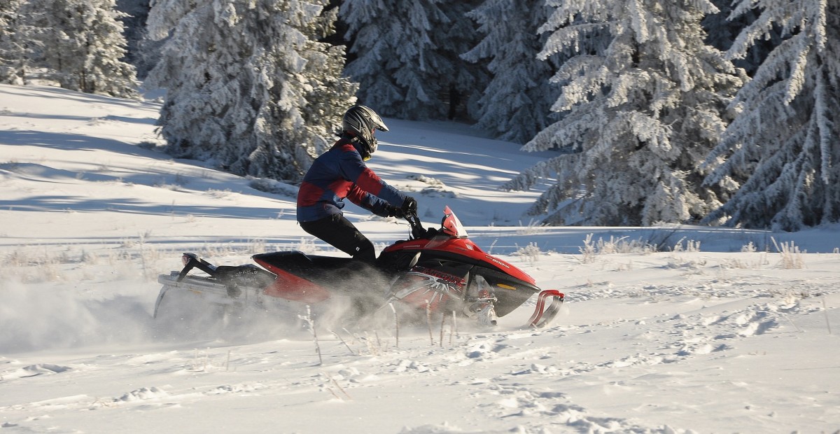Snowmobiler killed in collision with tree in northern Minnesota
