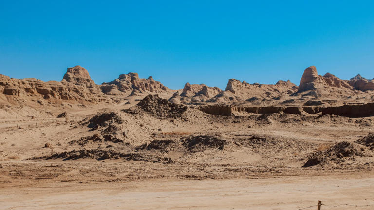 Scientists dig in world’s driest desert and uncover stunning discovery
