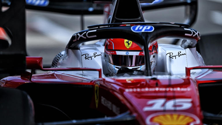 Digital reconstruction reveals the face of 'Little Foot,' a nearly 4 ...