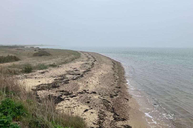 I visited a hidden gem Essex beach that almost nobody has heard of