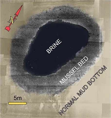 Desalination's dark side: Why it might not be the silver bullet we ...
