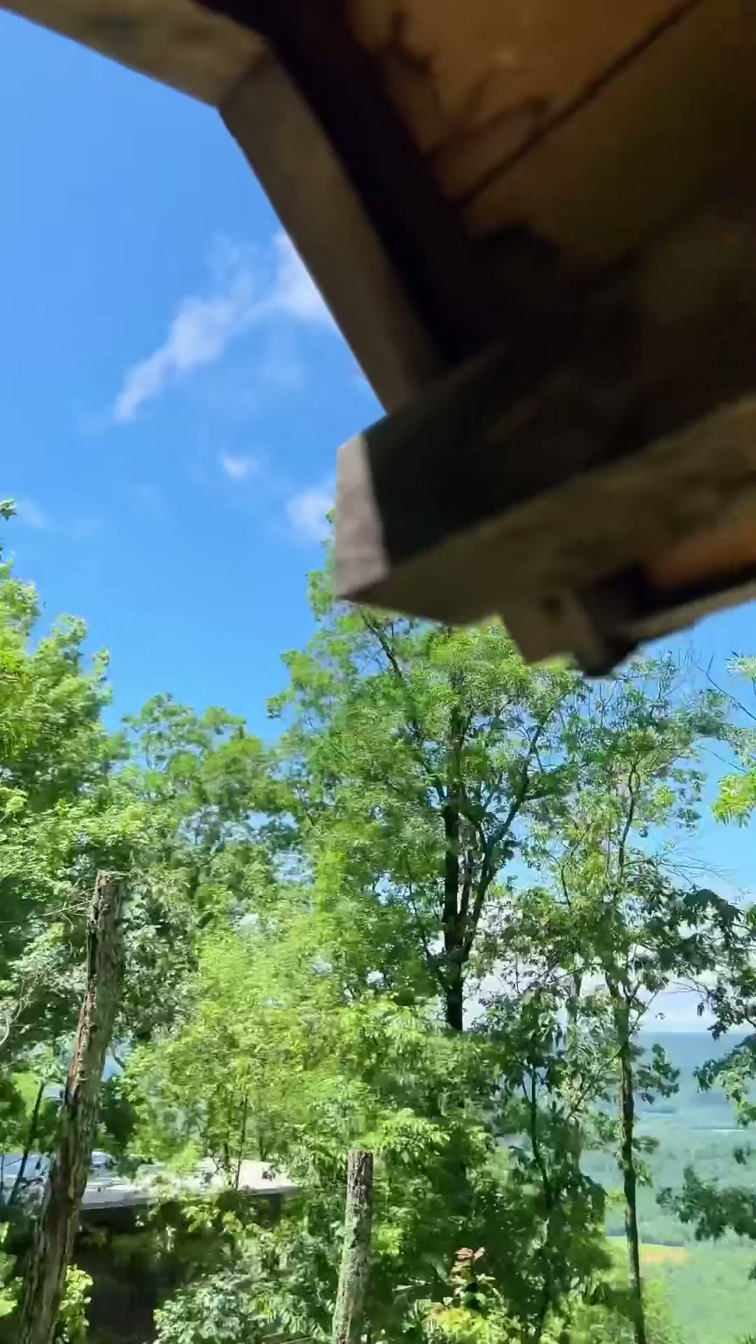 Welcome to the Wingtip, a dreamy tiny house cabin perched on Lookout ...