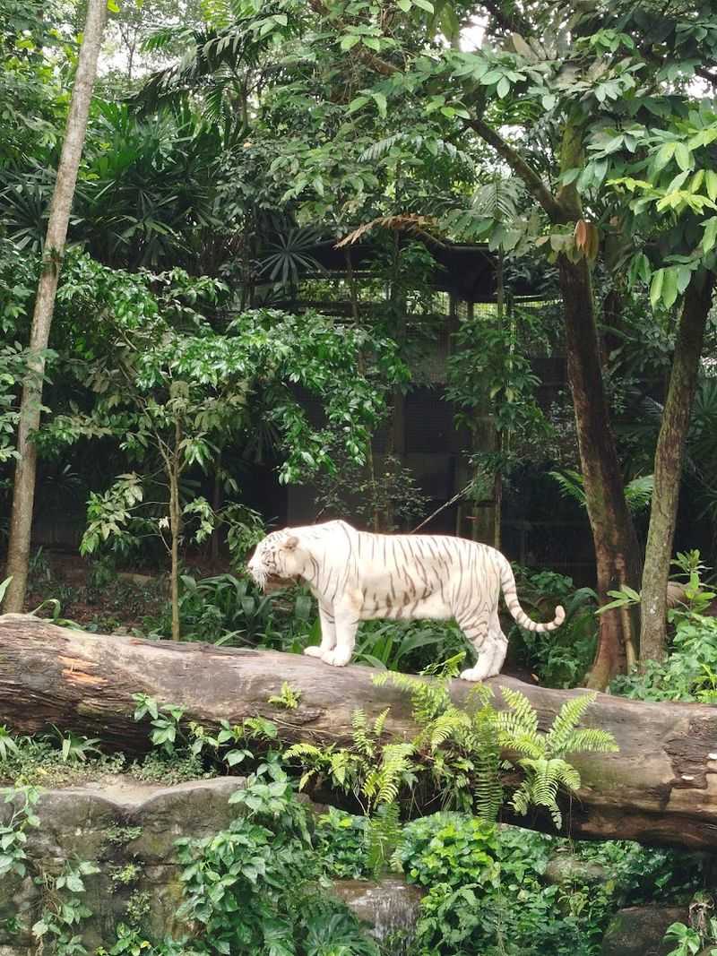 18 zoos that offer the most unique wildlife experiences on Earth