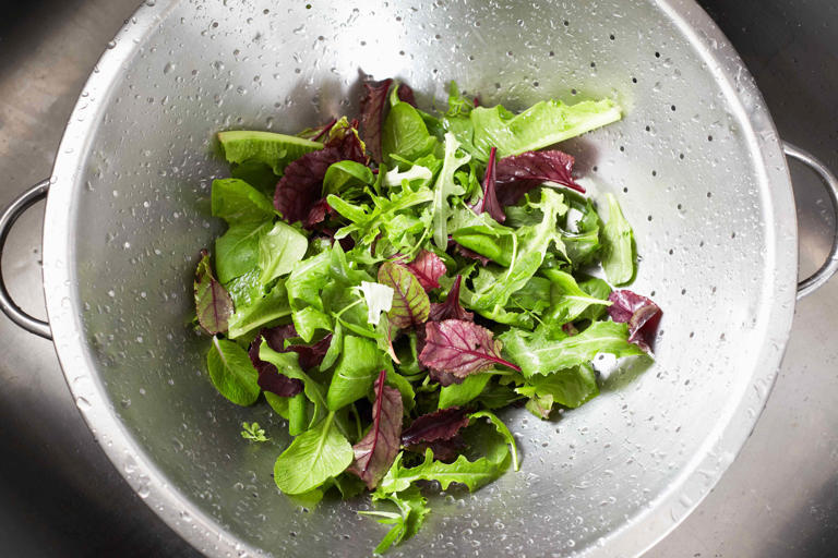 Every expert we spoke to says you’re storing lettuce wrong — keep it ...